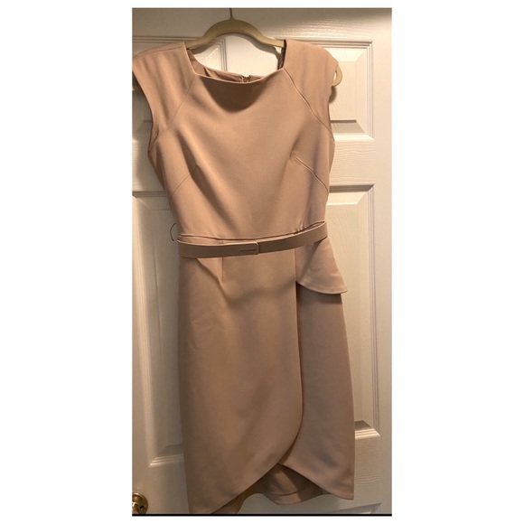 The Limited | Dresses | The Limited Scandal Dress | Poshmark